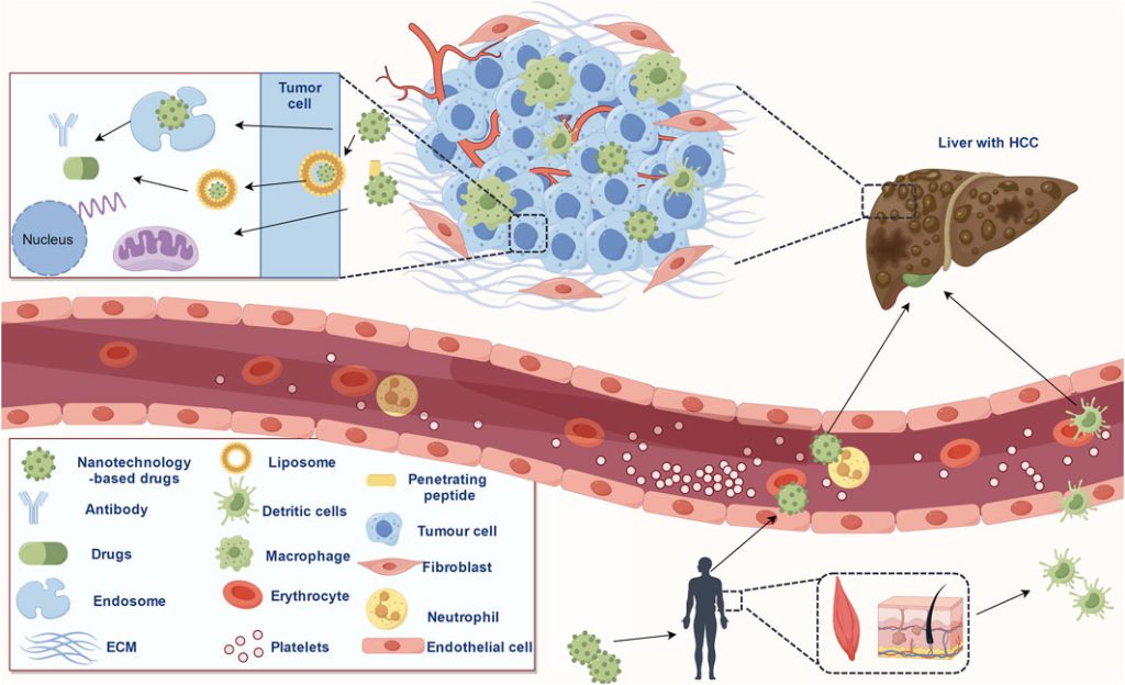 Nanomedicine: Transforming Liver Disease Treatment and Diagnosis ...